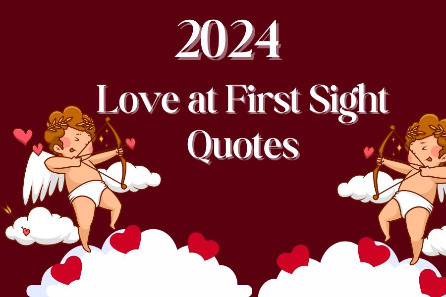 2024 Best Love at First Sight Quotes – Zaotify